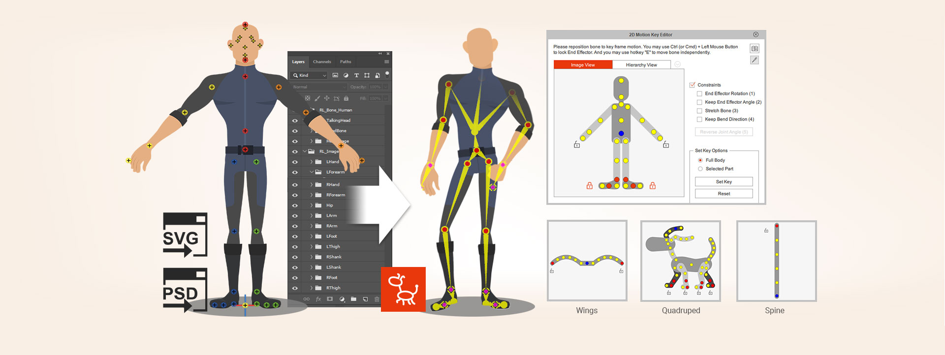 Animated 2D Character Design | Cartoon Animator